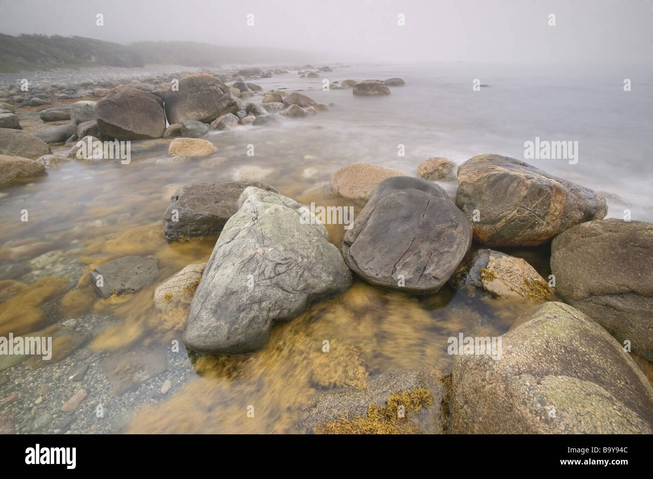 Canada Island Newfoundland West Coast High Resolution Stock Photography ...