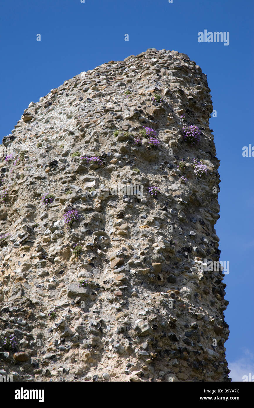 Historical stone column hi-res stock photography and images - Alamy