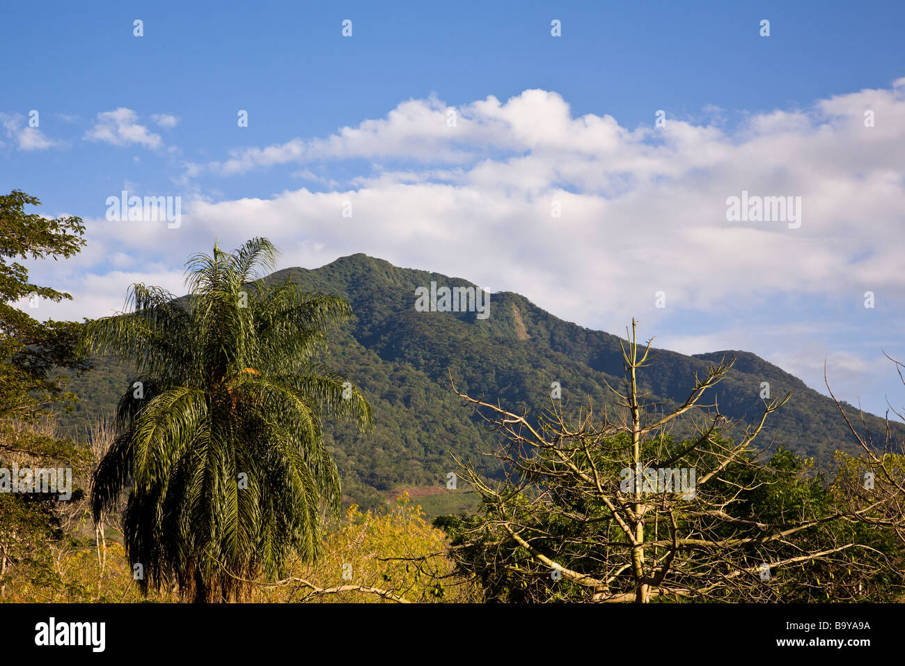 Maderas de volcan hi-res stock photography and images - Alamy