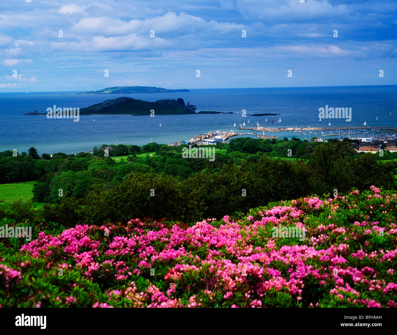 Sutton, Howth Head, Dublin Bay, County Dublin, Ireland Stock Photo - Alamy
