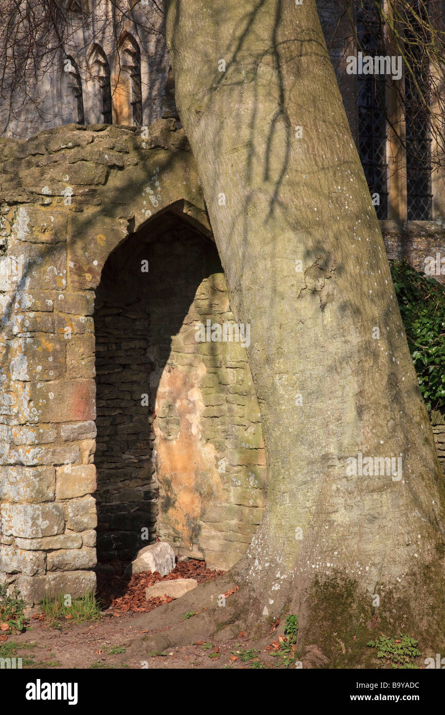Arched Grotto and Tree, Minster Lovell Hall, built by Lord William ...