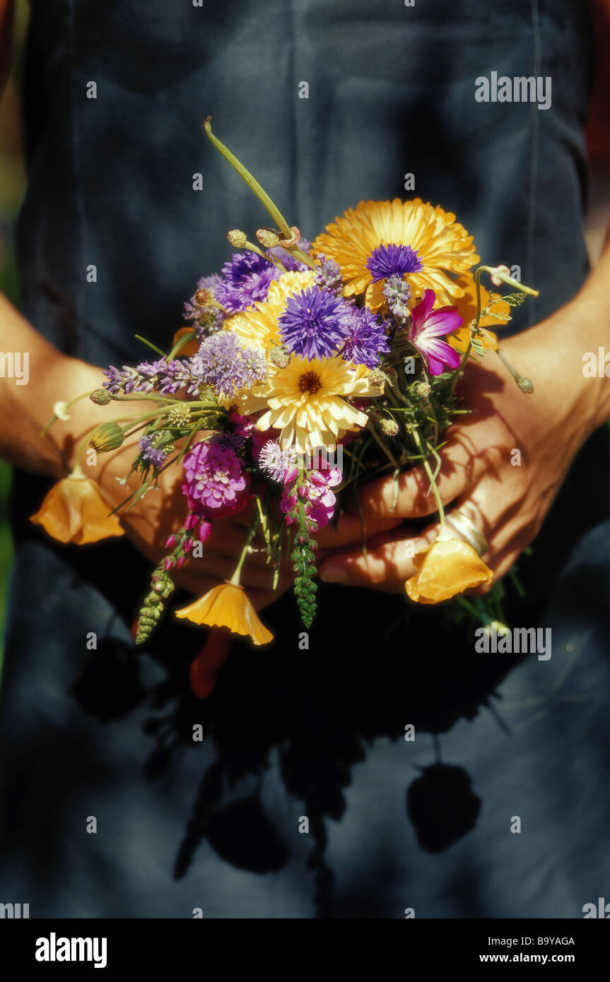 Handpicked flowers hi-res stock photography and images - Alamy