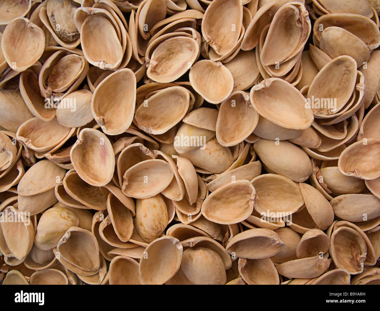 Empty Pistacio nut shells Stock Photo - Alamy