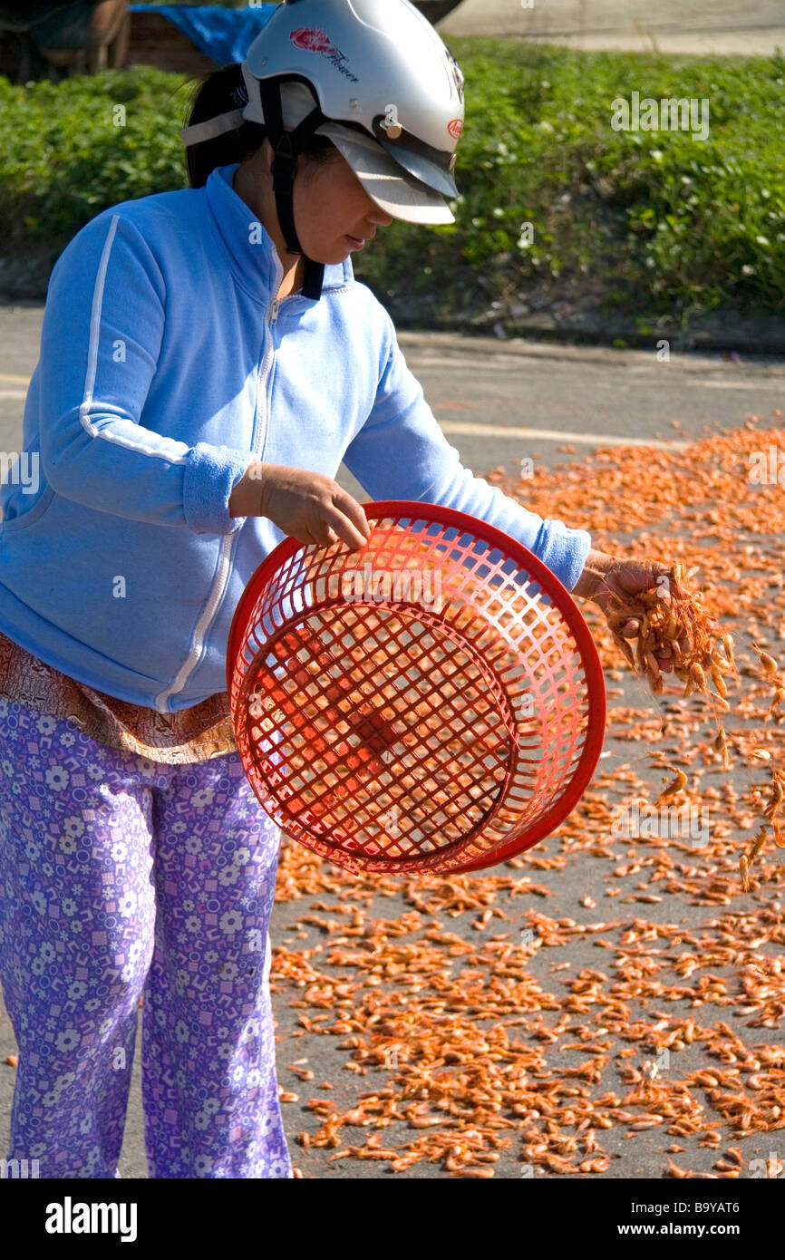 Drying shrimp hi-res stock photography and images - Alamy