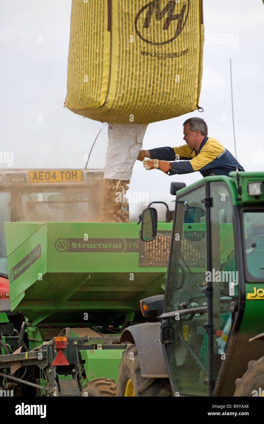 Loading A Potato Planter With Seed Stock Photo - Alamy