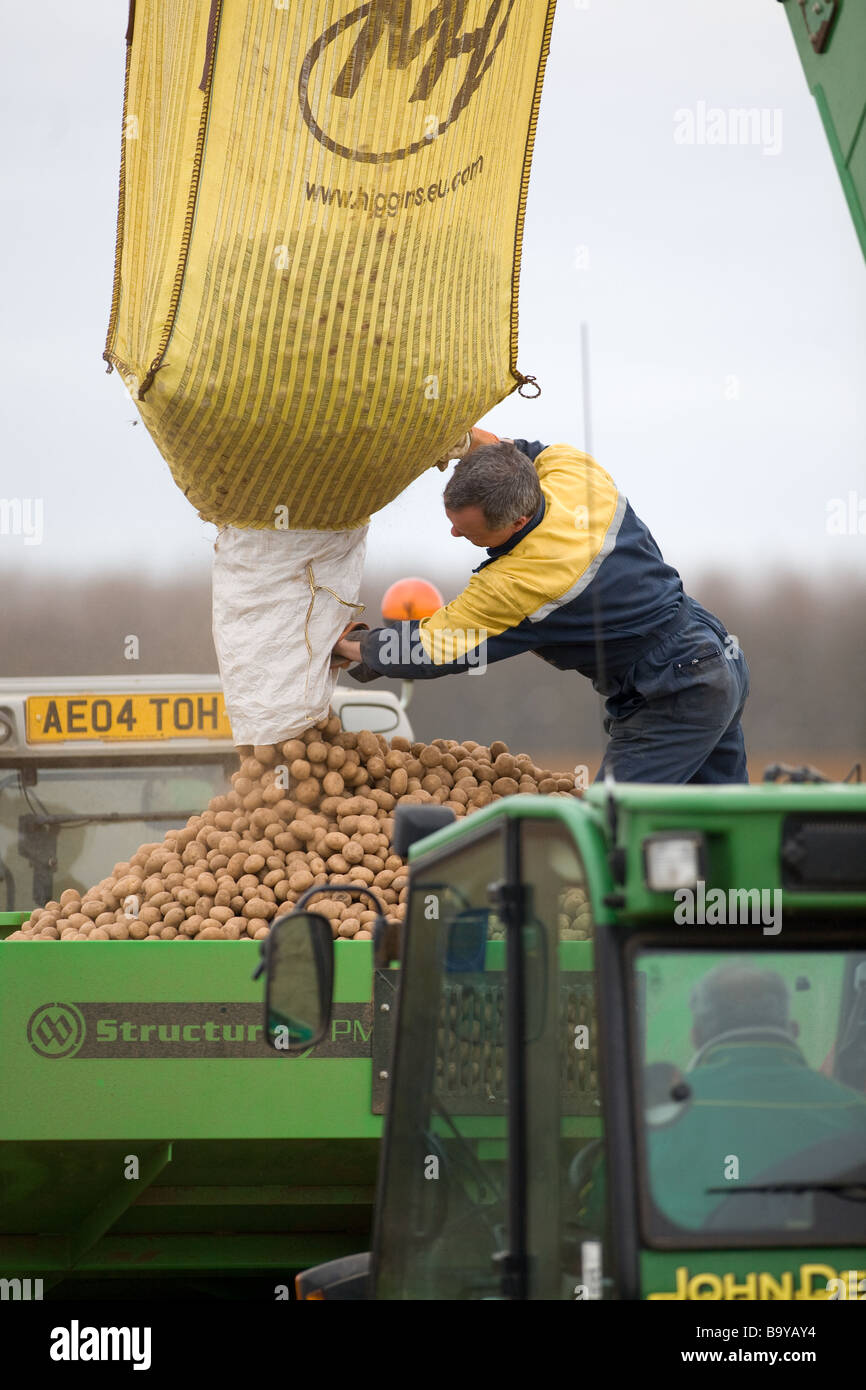 Loading potatoes hi-res stock photography and images - Alamy