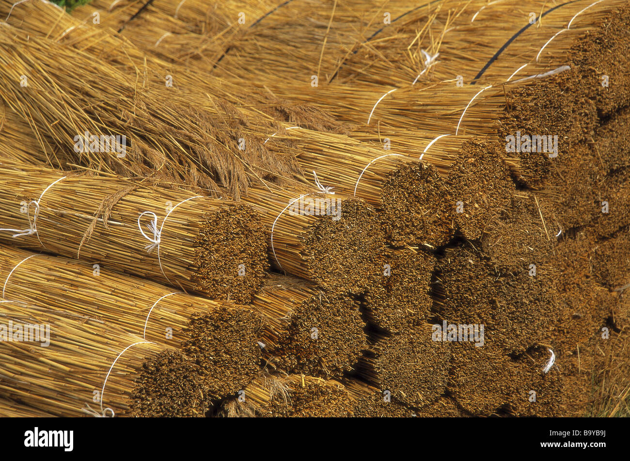 Roofing grasses hi-res stock photography and images - Alamy