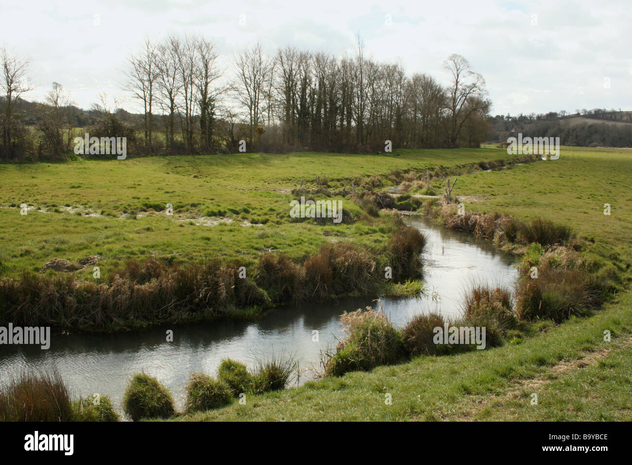 Quiet stream in English countryside Stock Photo - Alamy