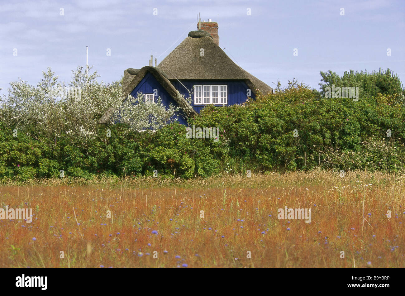 Frisian architectural style hi-res stock photography and images - Alamy