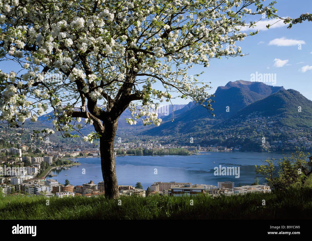 Cityscape overview with lake lugano hi-res stock photography and images ...