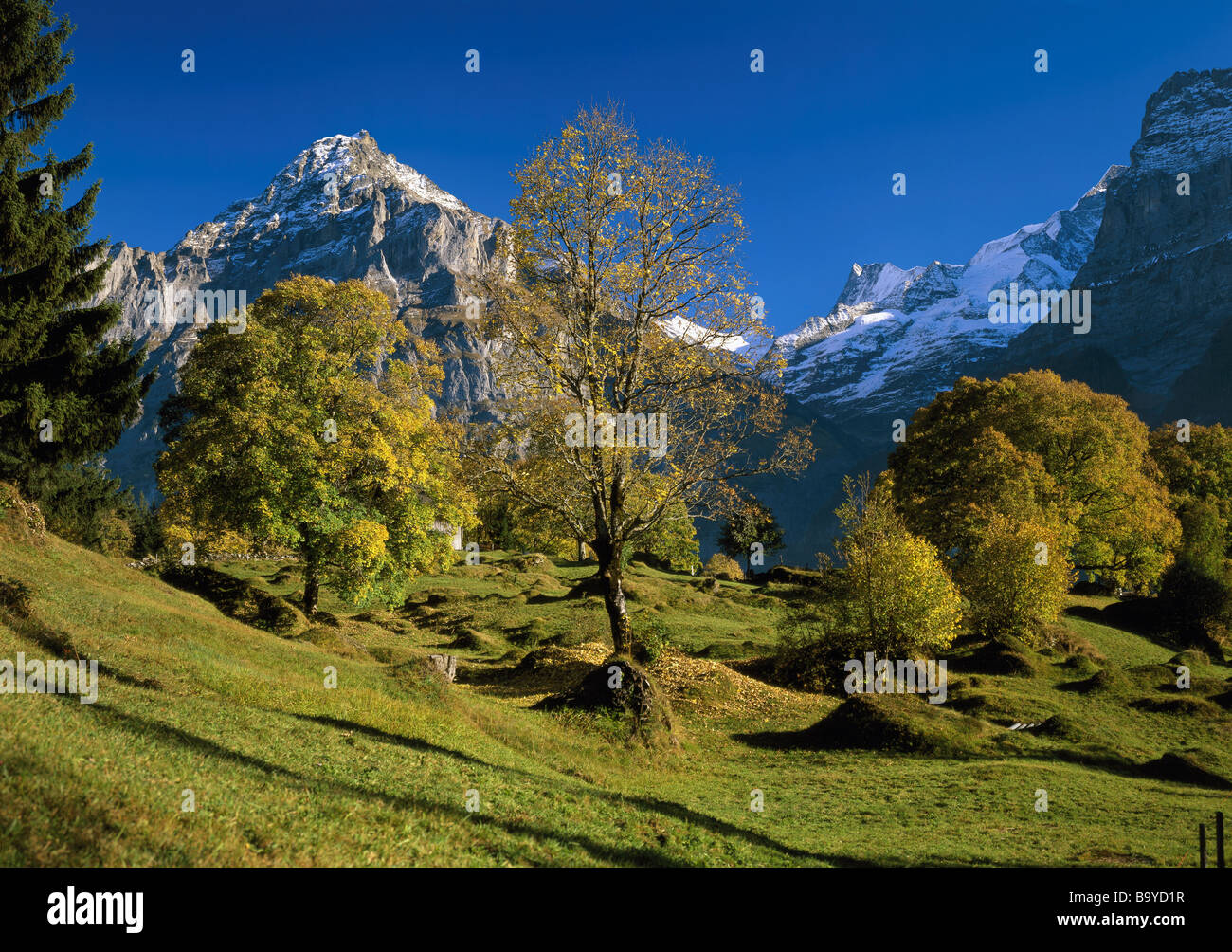 Mettenberg mountain hi-res stock photography and images - Alamy