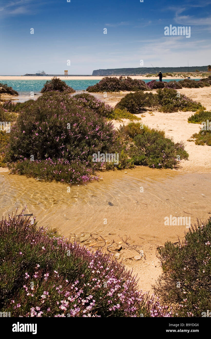 Natural Park Marshes of Barbate Atlantic Ocean Costa de la Luz Cadiz ...