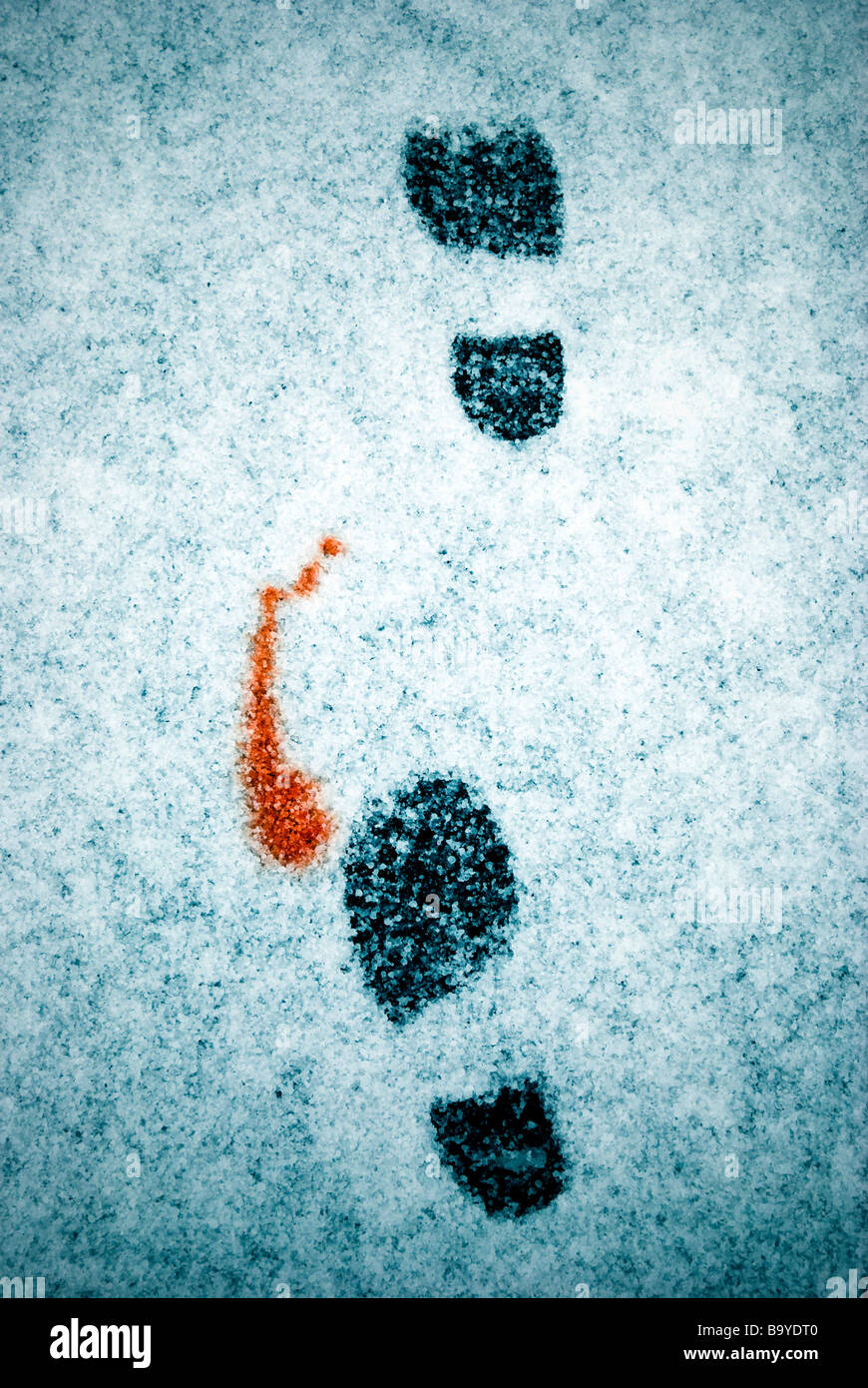 Bloody Snow Footprints