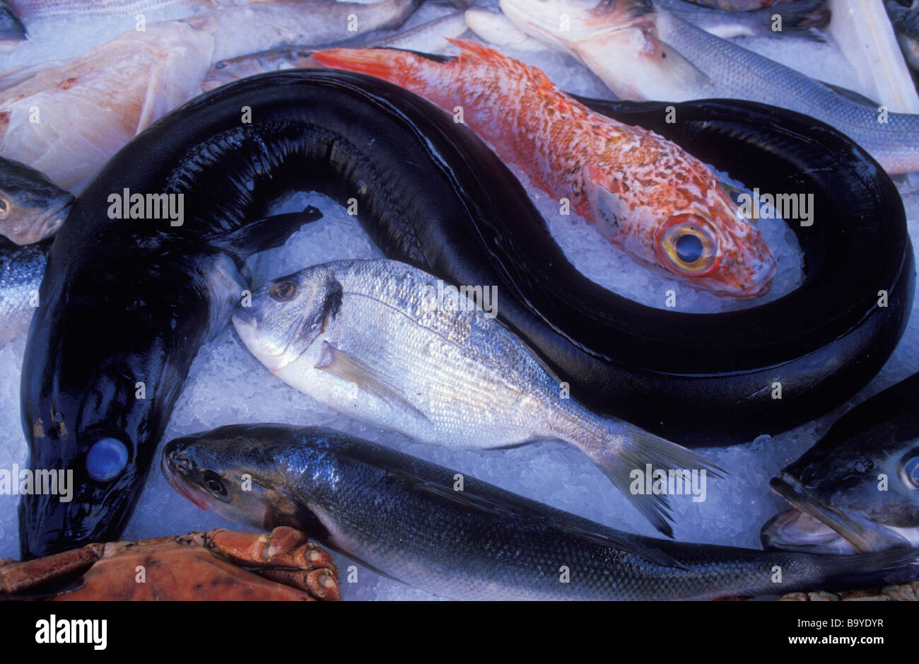 Fish market nice france hi-res stock photography and images - Alamy