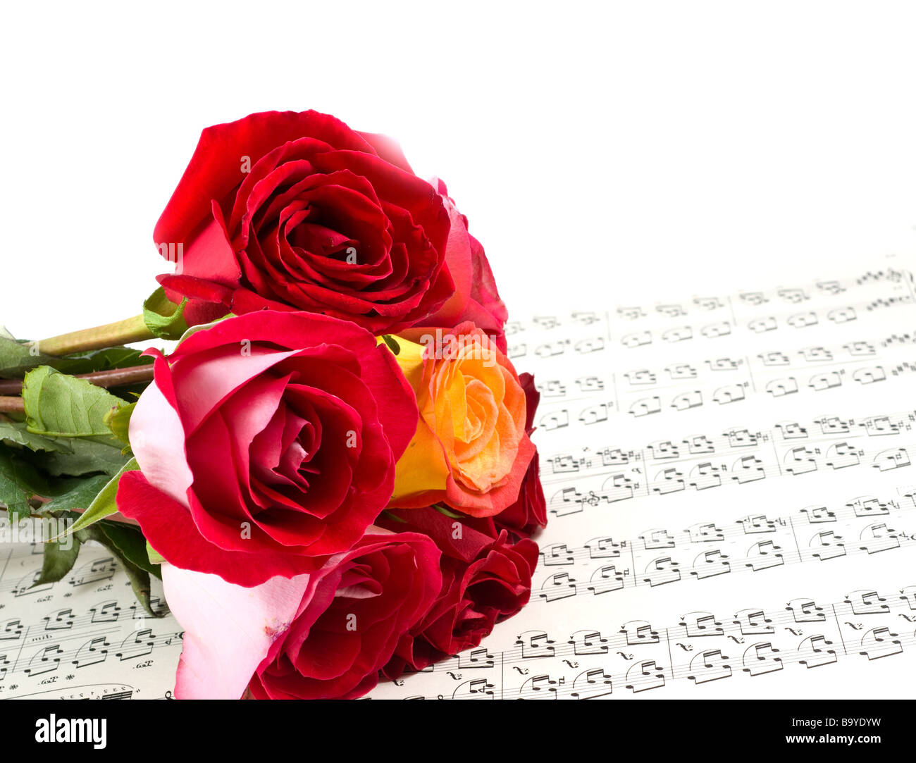 Red rose on note sheet Stock Photo - Alamy