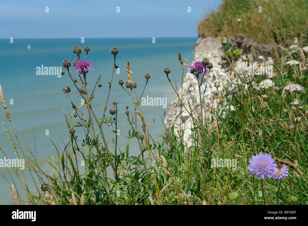 Northern coast of France, Escalles, Pas de Calais Stock Photo - Alamy