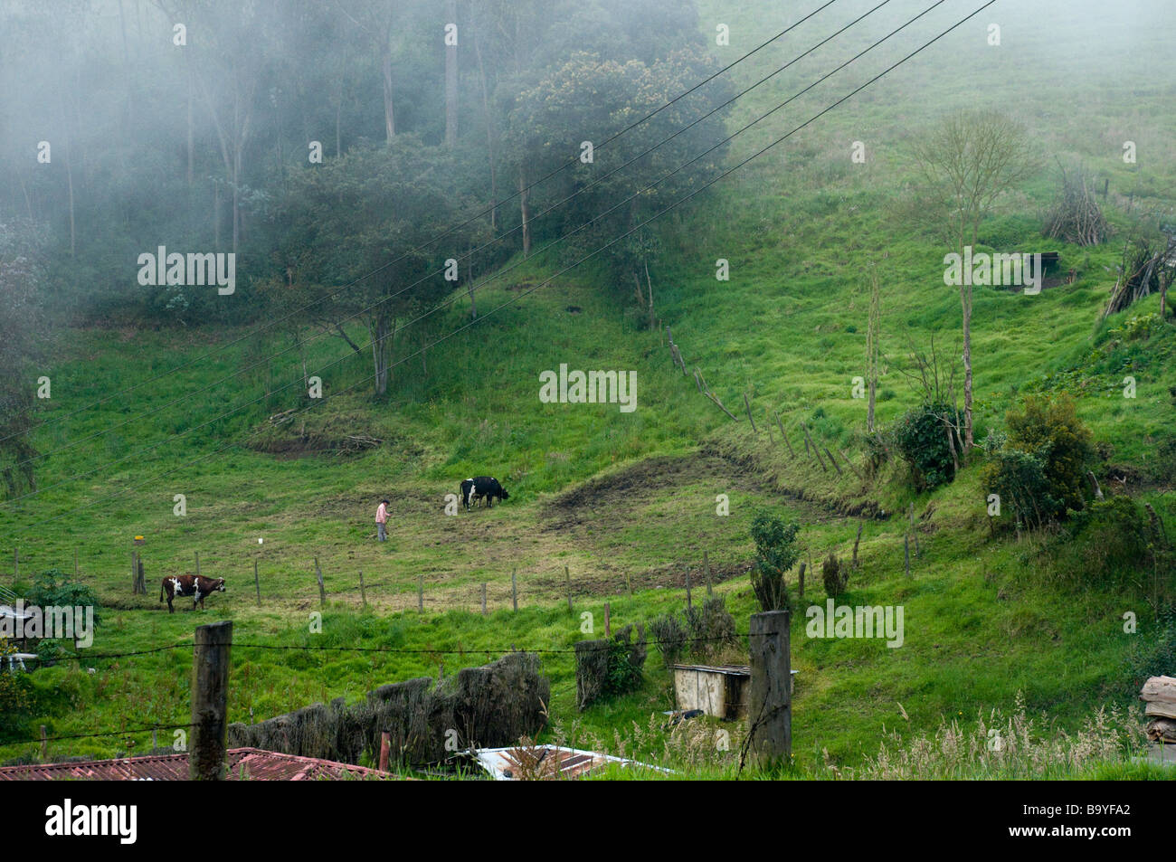 Local Colombian man farming in the Colombian countryside, in the Andes ...