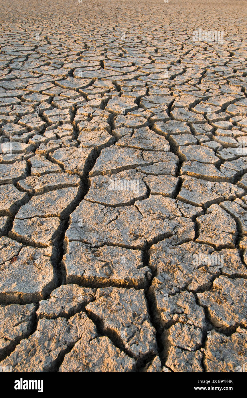 Cracked earth during extended dry season replaces pond, Everglades ...