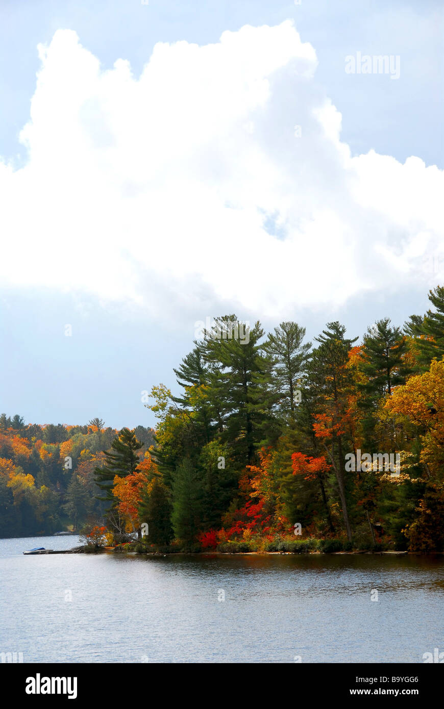 Lake and forest in the fall in northern Ontario Stock Photo - Alamy