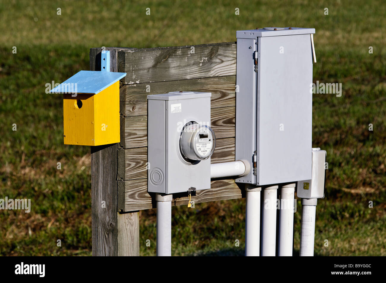 Colorful Bird House Attached to Electrical Panel in Field in Floyd ...
