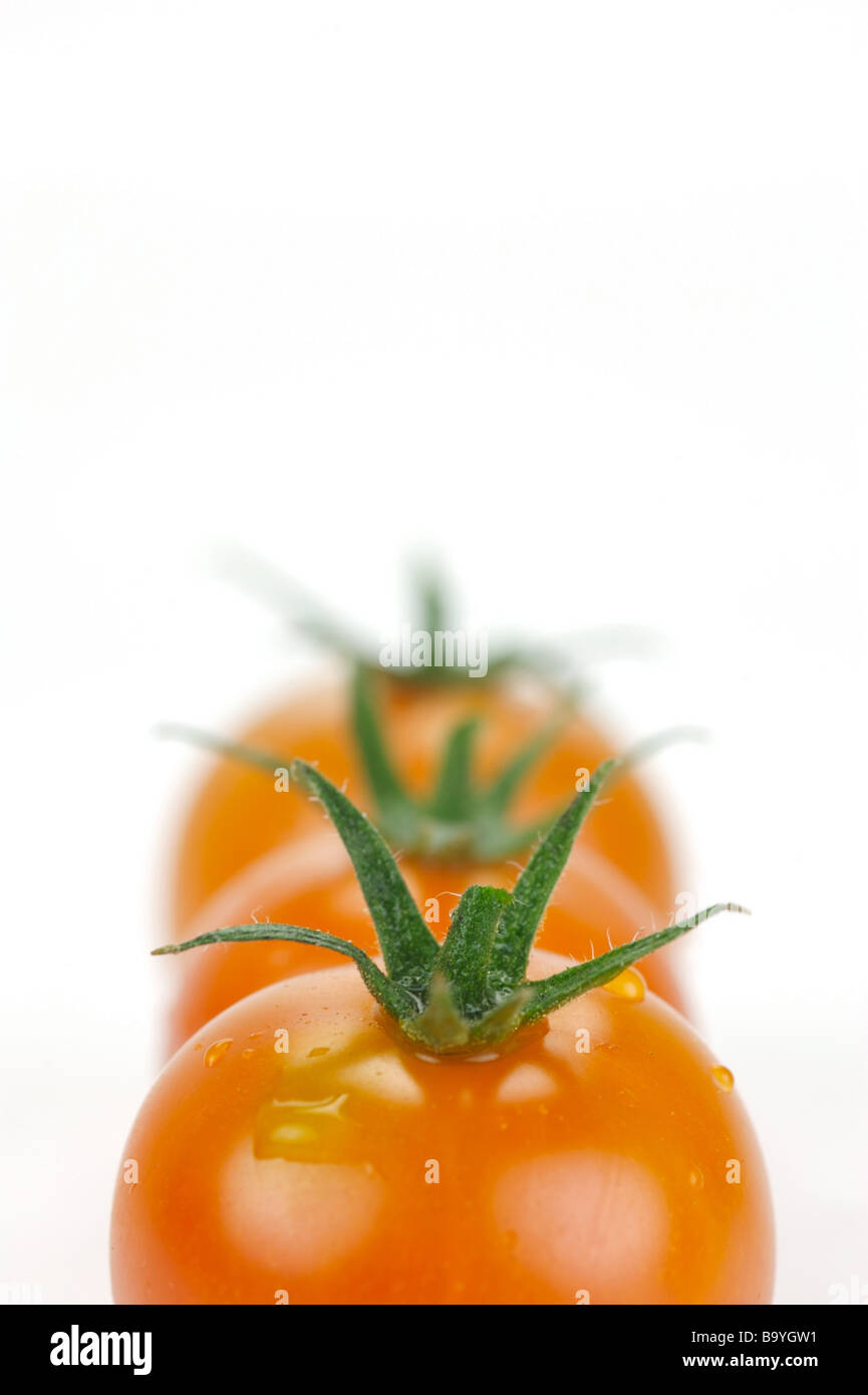 Cherry Truss Tomatoes isolated against a white background Stock Photo ...