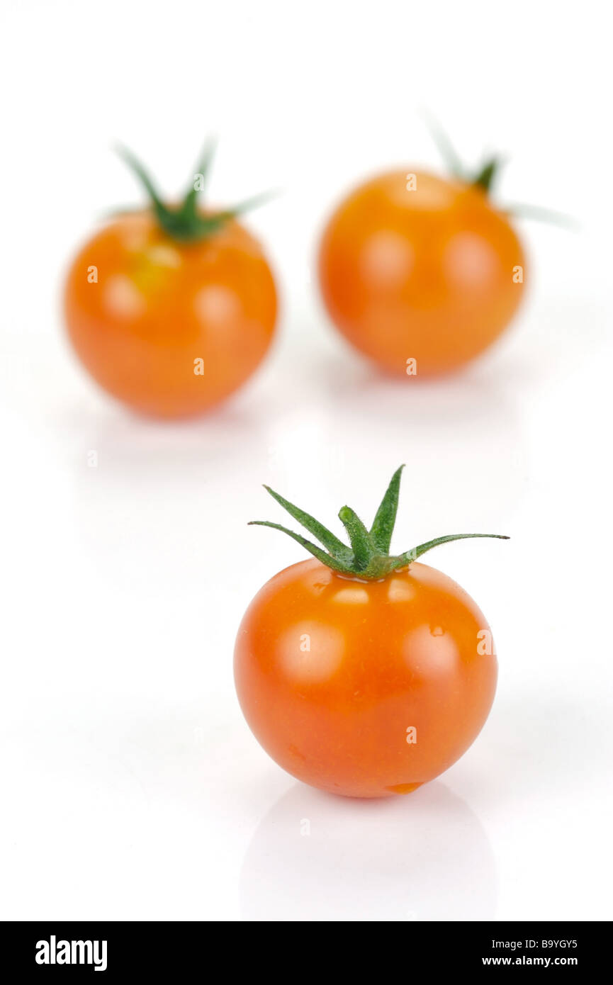 Cherry Truss Tomatoes isolated against a white background Stock Photo ...