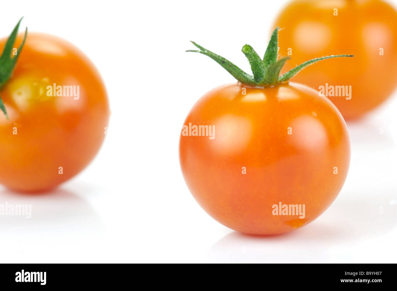 Cherry Truss Tomatoes isolated against a white background Stock Photo ...