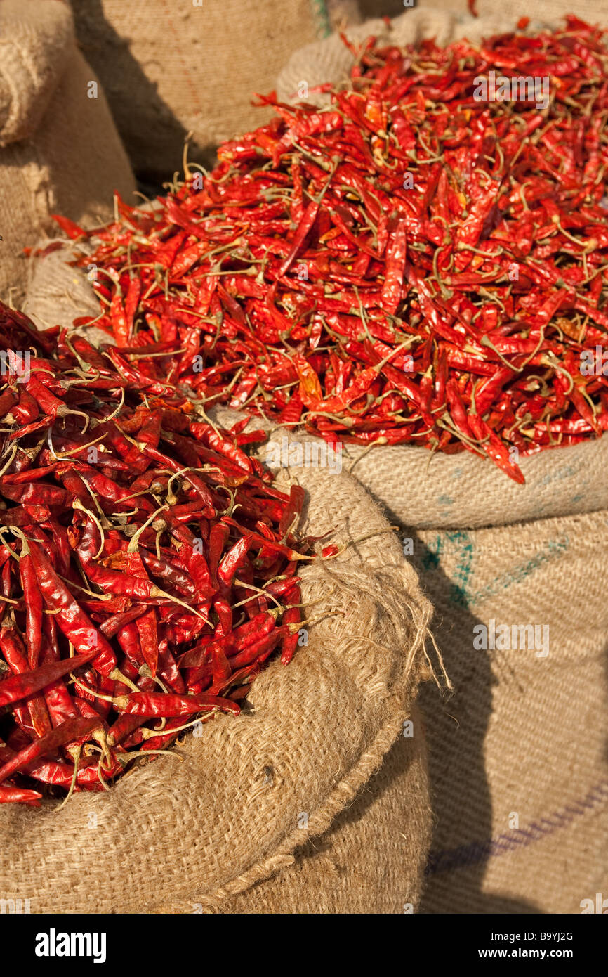 Sacks of chillies hi-res stock photography and images - Alamy