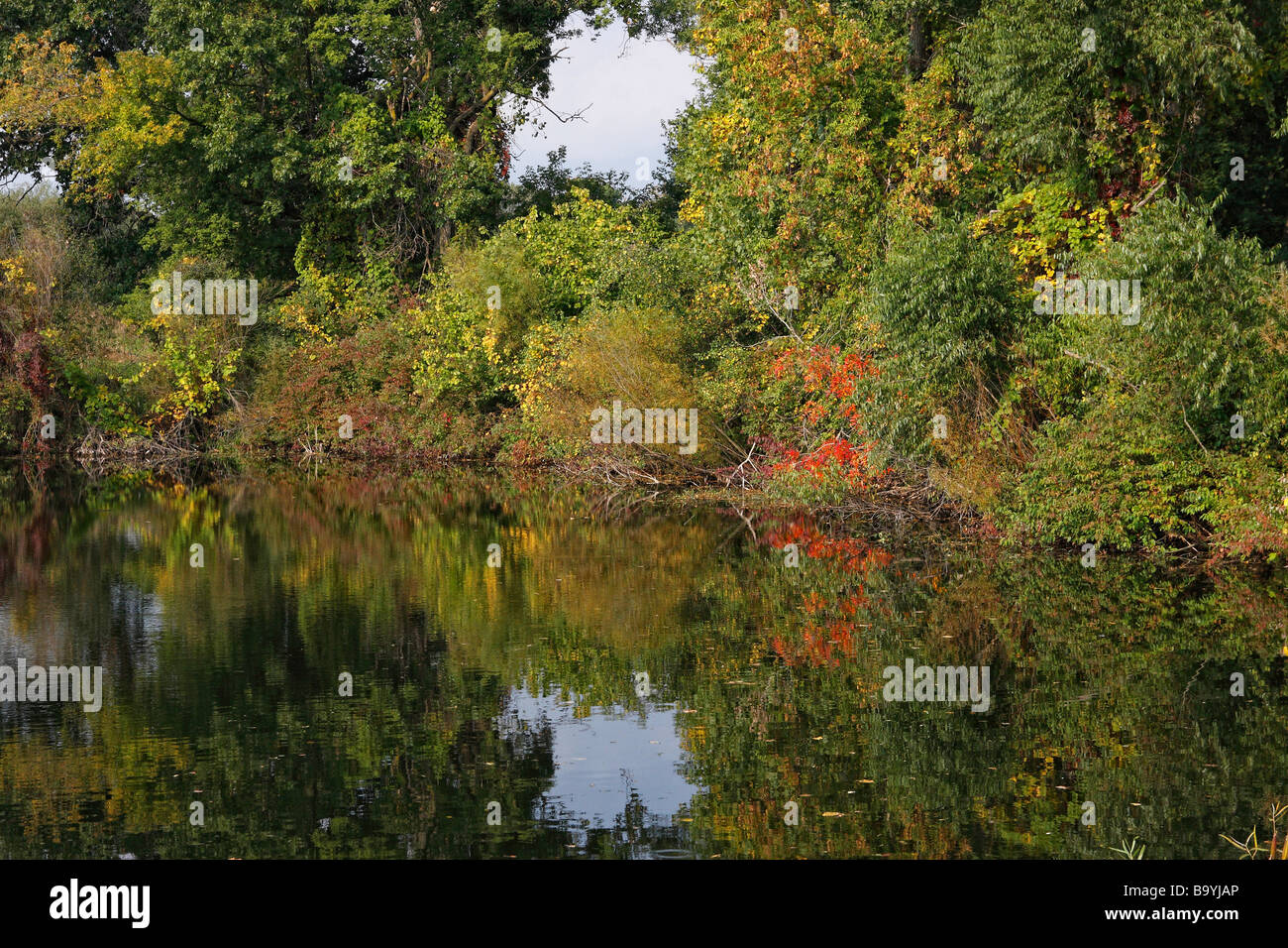 Reflections of rural areas hi-res stock photography and images - Alamy