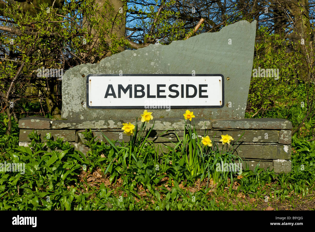 Ambleside town sign with daffodils, Lake District National Park ...
