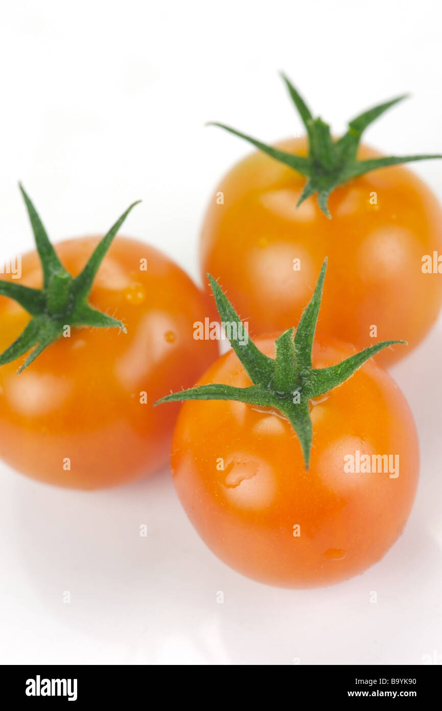 Cherry Truss Tomatoes isolated against a white background Stock Photo ...