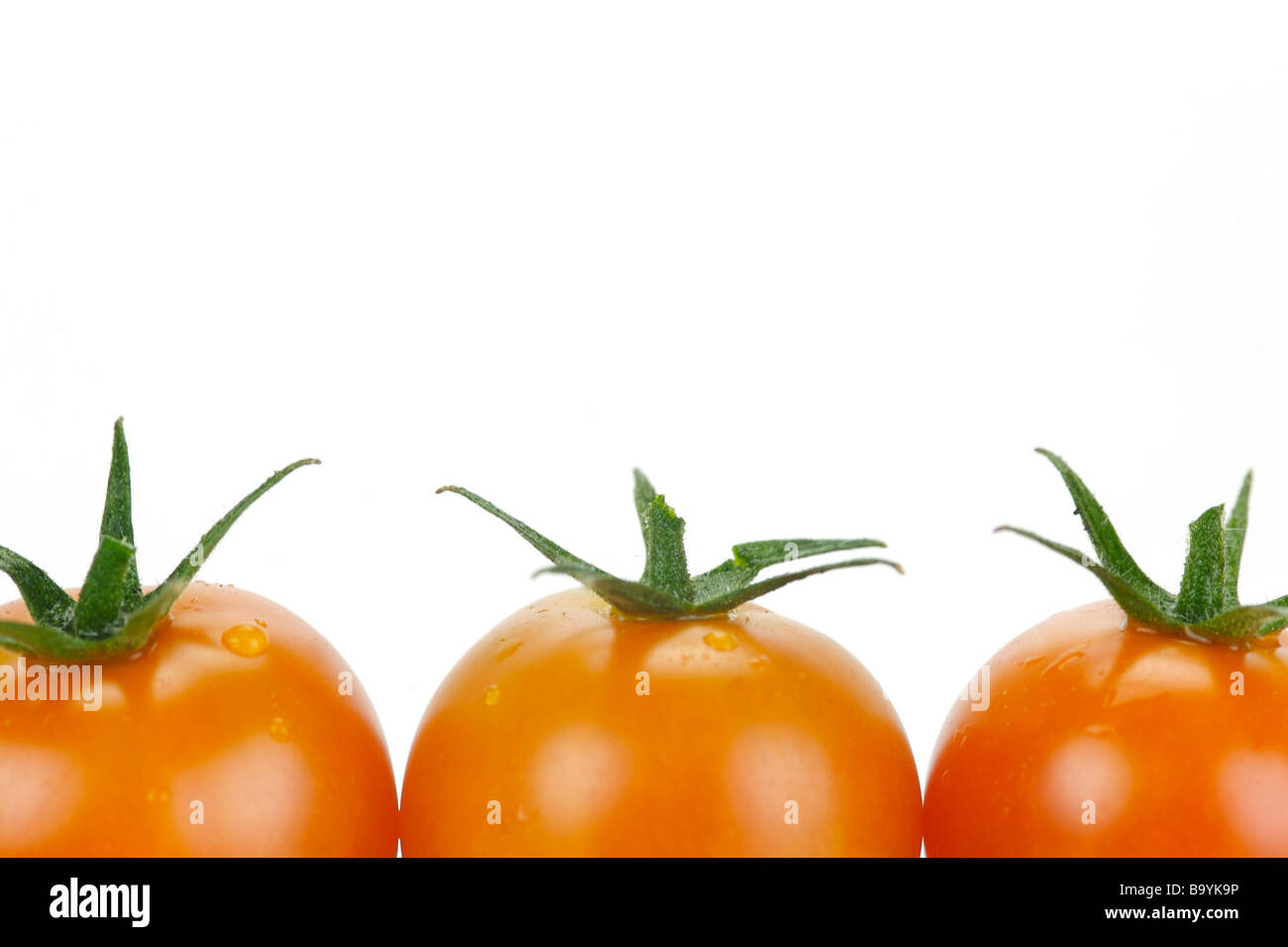 Cherry Truss Tomatoes isolated against a white background Stock Photo ...