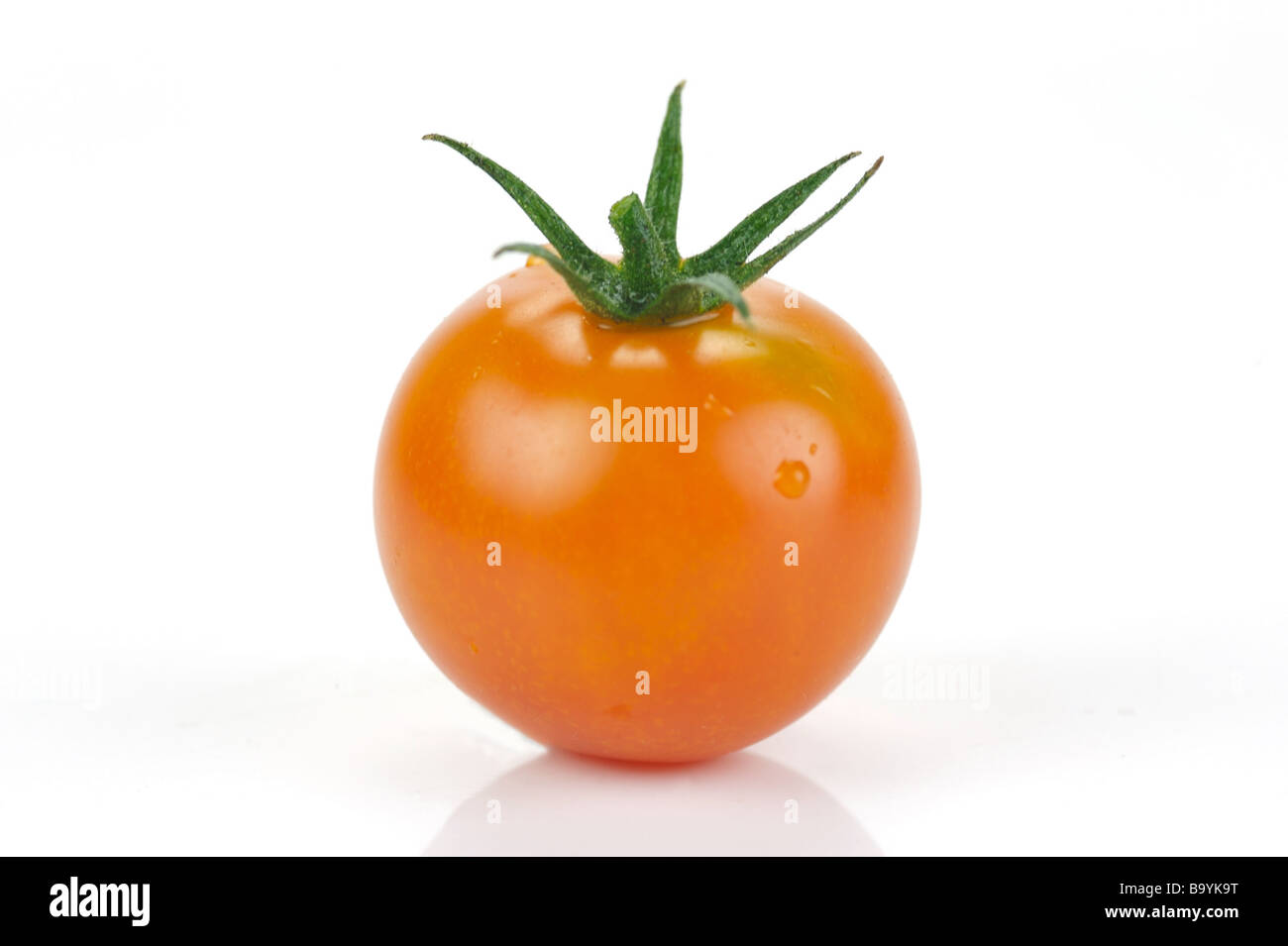 Cherry Truss Tomatoes isolated against a white background Stock Photo ...