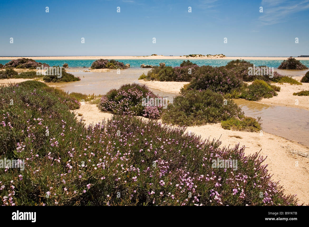 Natural Park Marshes of Barbate Atlantic Ocean Costa de la Luz Cadiz ...