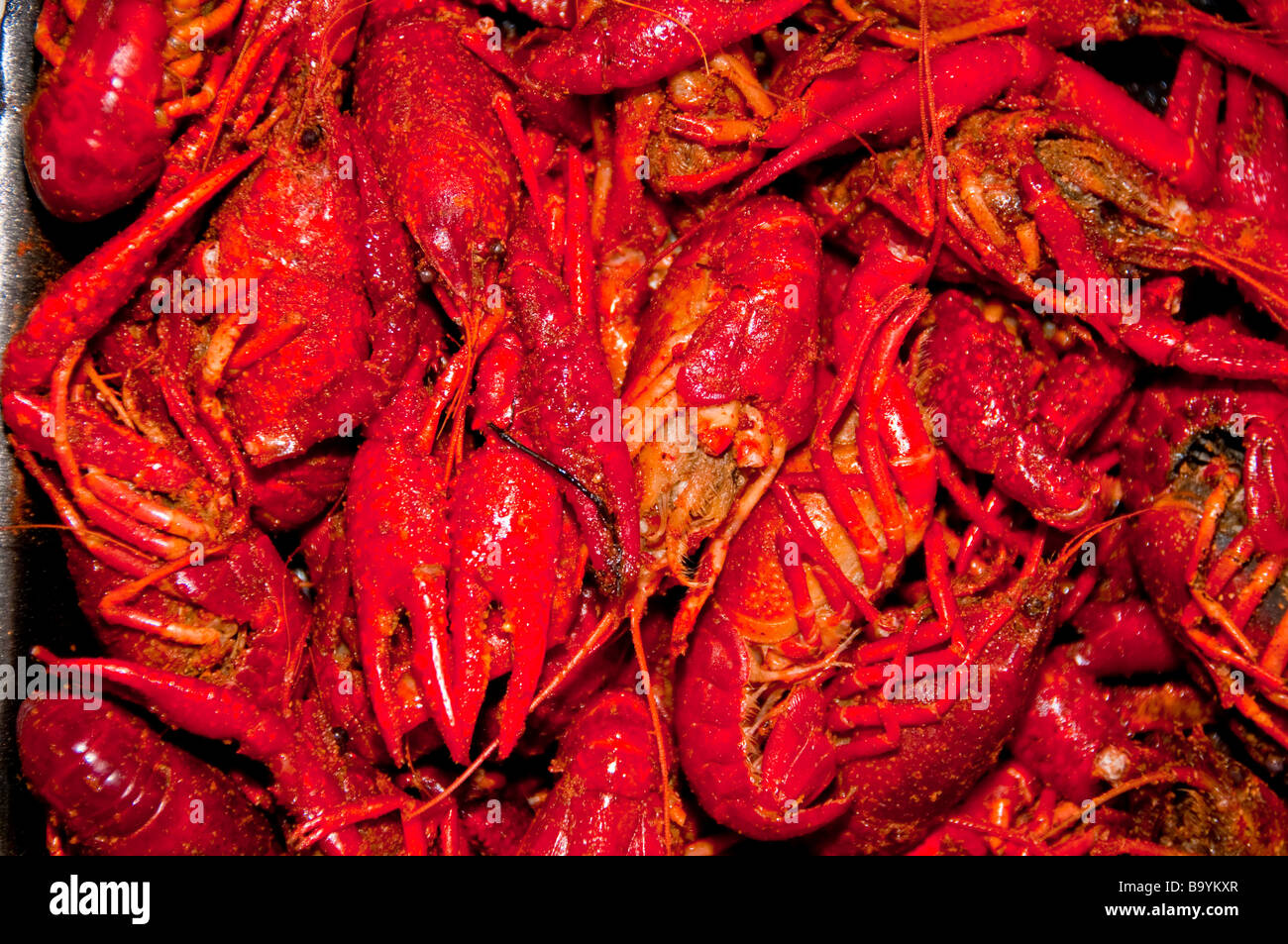 Louisiana crawfish hi-res stock photography and images - Alamy