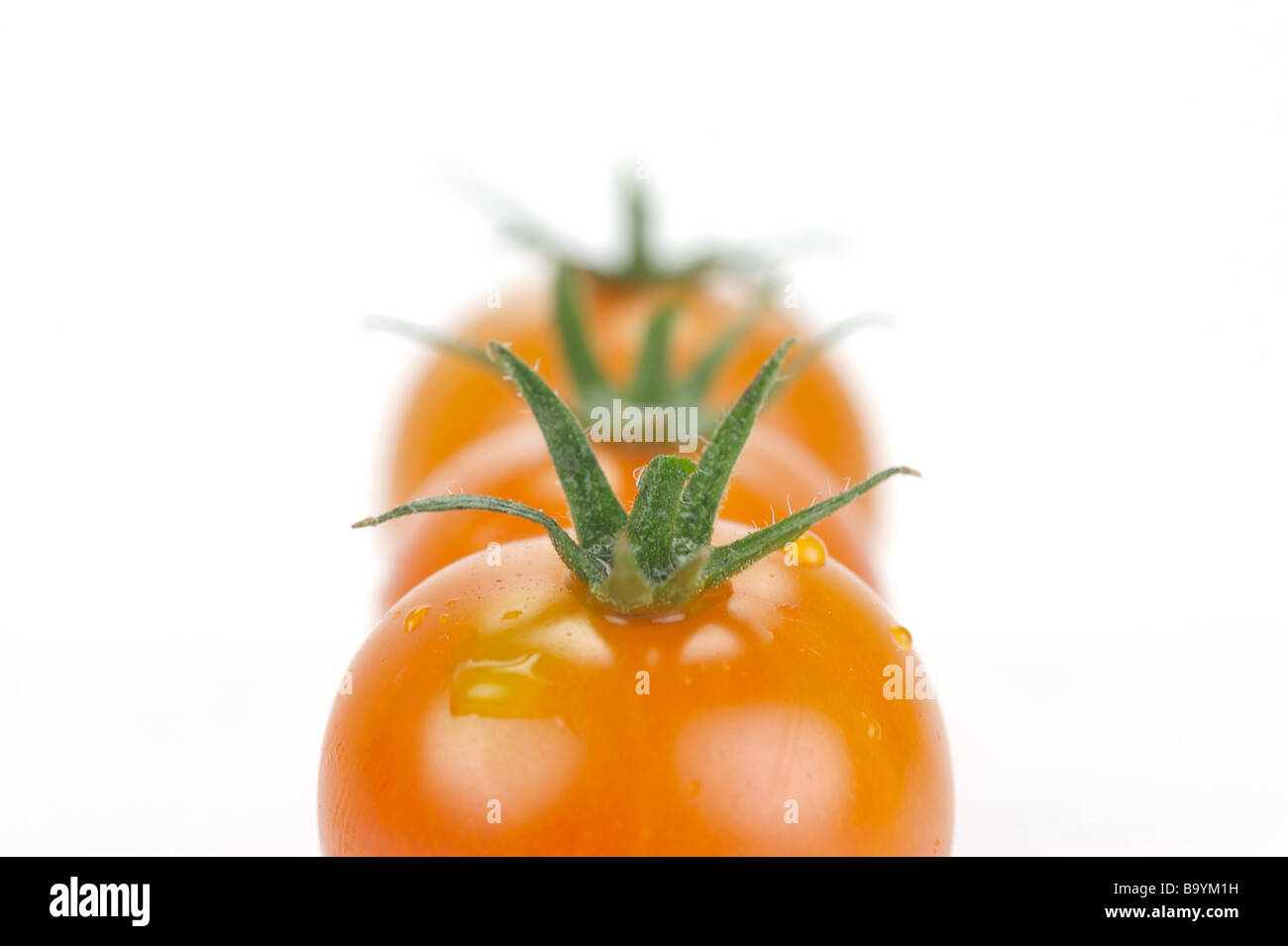 Cherry Truss Tomatoes isolated against a white background Stock Photo ...