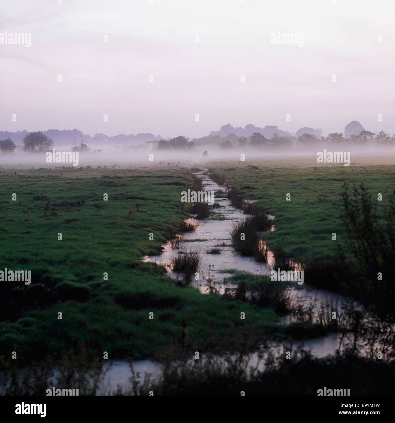 County Armagh, Northern Ireland, Bog and ditch filled with water Stock ...