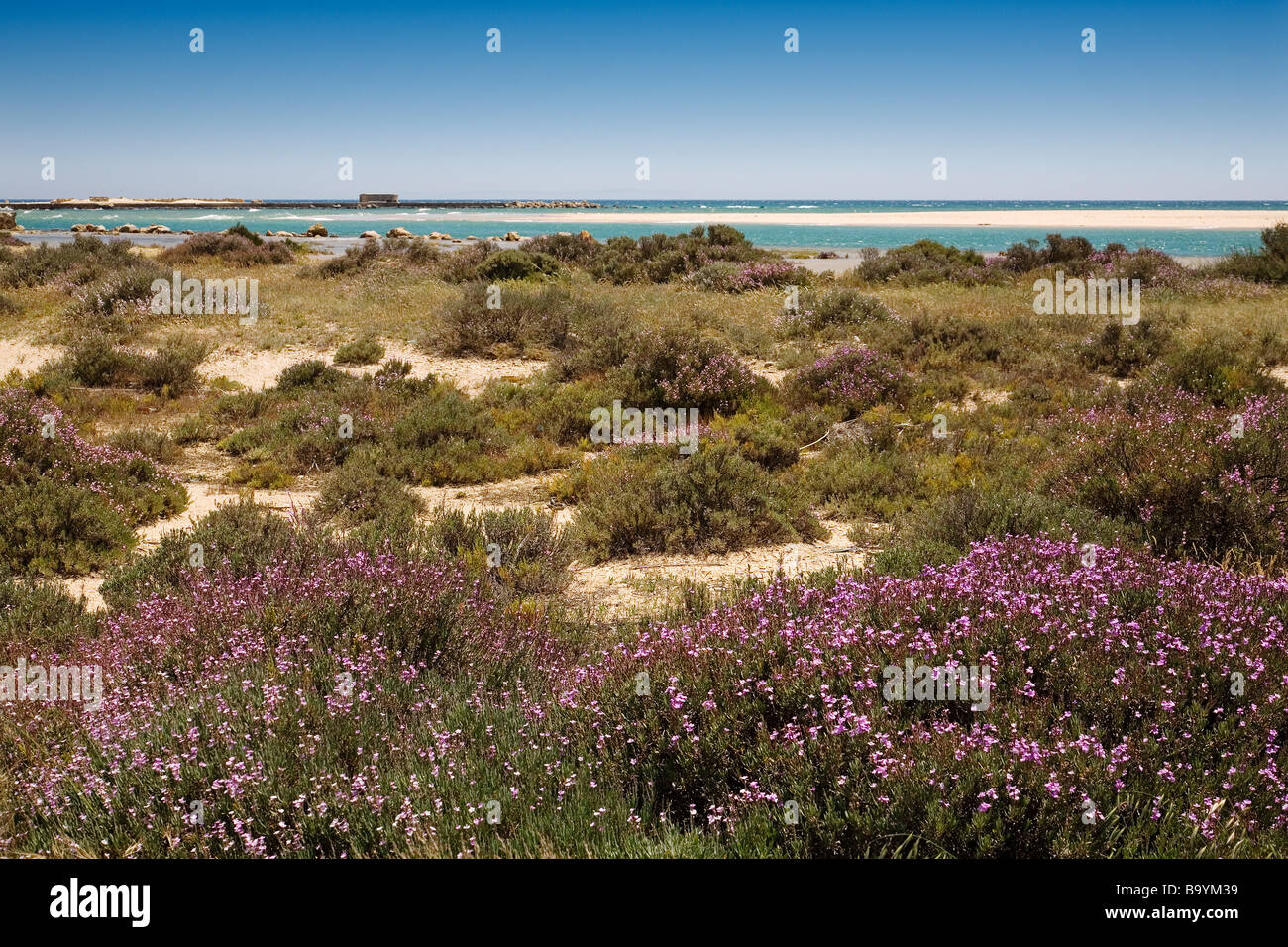 Natural Park Marshes of Barbate Atlantic Ocean Costa de la Luz Cadiz ...