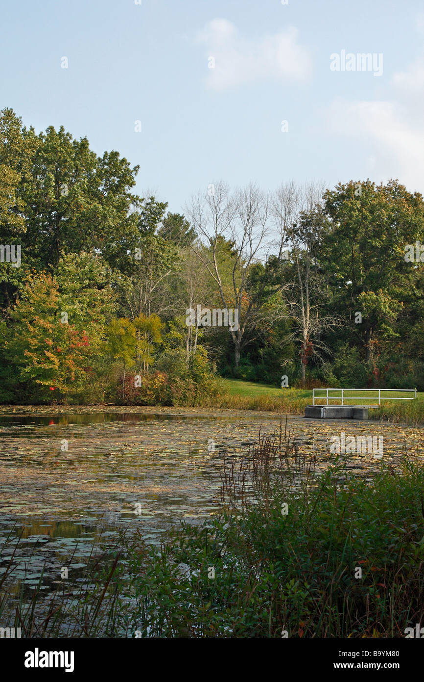 Aesthetic wallpaper hi hi-res stock photography and images - Alamy