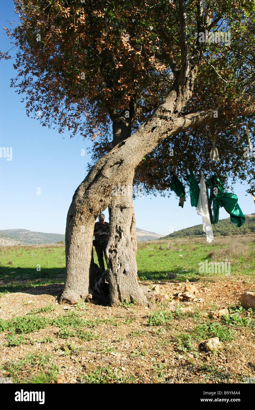 Israel Upper Galilee The Bedouin village of Wadi Salame Ancient Mount ...