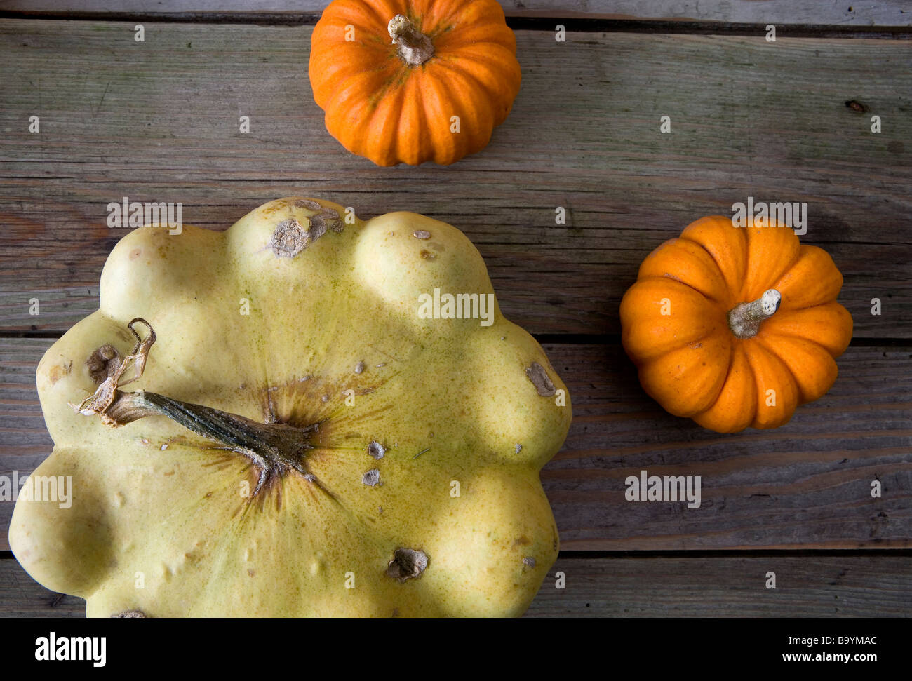 English squashes on wooden table top Stock Photo - Alamy