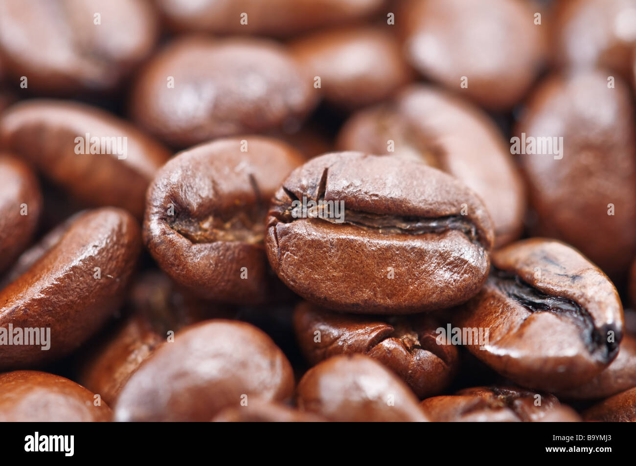 Coffee bean closeup hi-res stock photography and images - Alamy