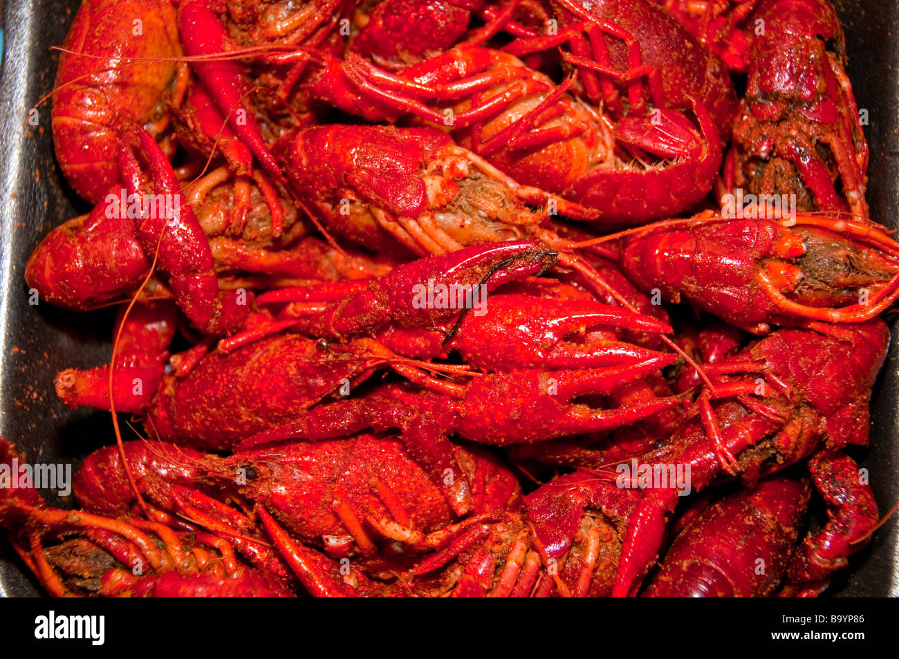 Louisiana boiled red crawfish cryfish in bowl Stock Photo - Alamy