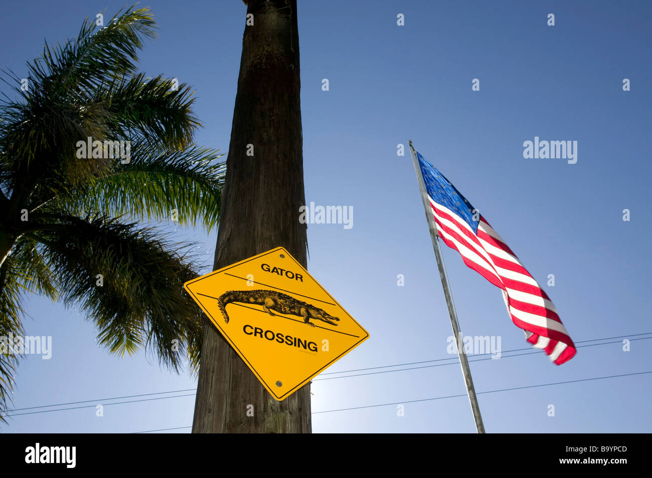 Alligator crossing warning sign Everglades City Florida USA Stock Photo ...