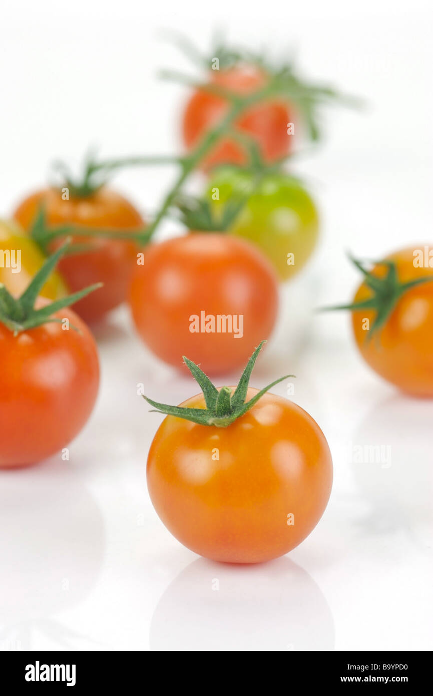 Cherry Truss Tomatoes isolated against a white background Stock Photo ...