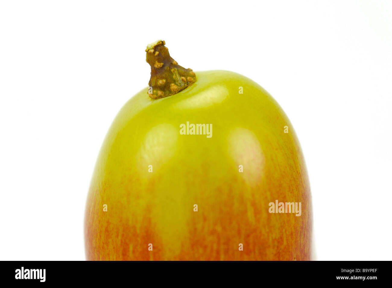 Seedless grapes isolated against a white background Stock Photo - Alamy