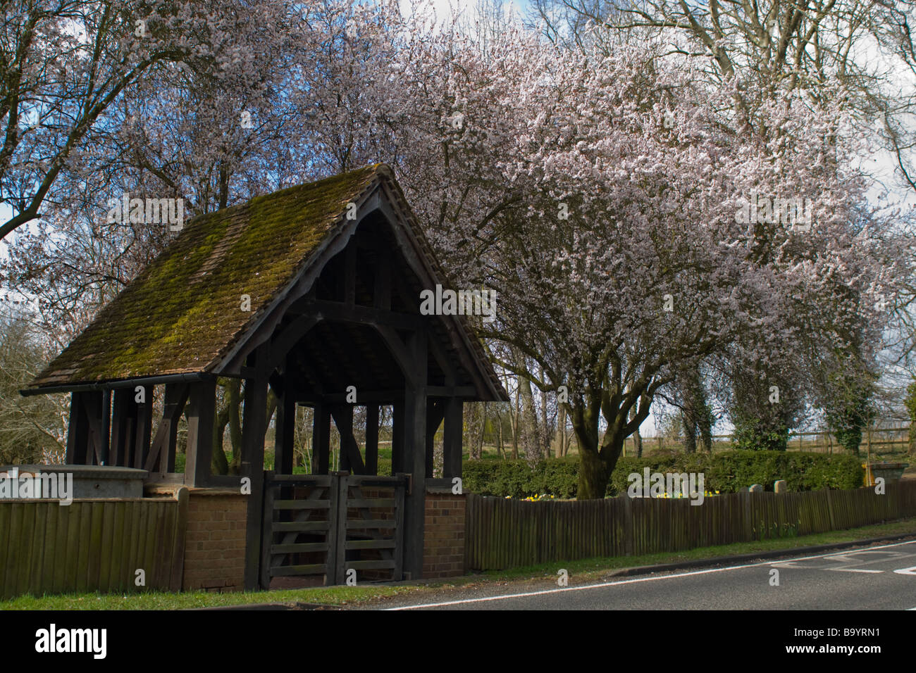 Lych Gate and Cherry Blossom Stock Photo - Alamy