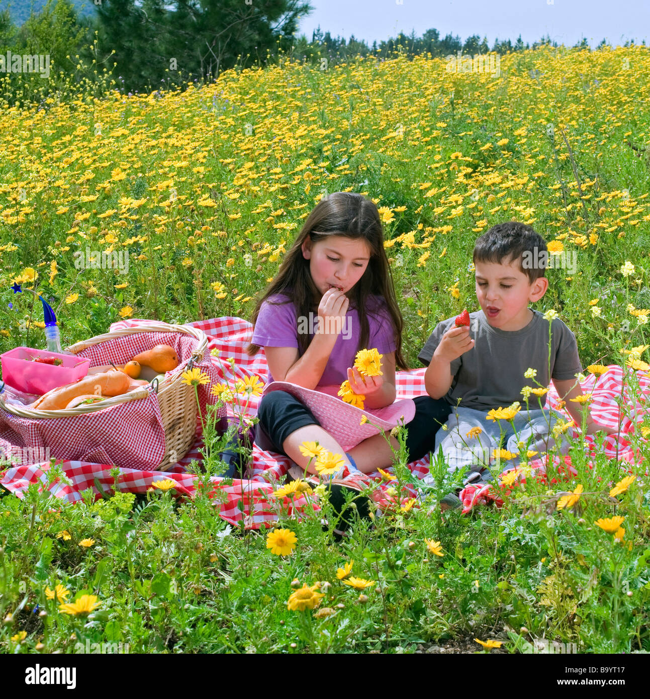 little boy and girl having a picnic in a yellow flowers field Stock ...