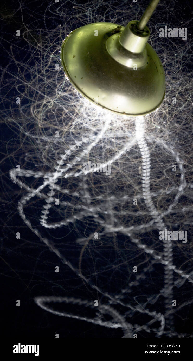 Lamp and flies hi-res stock photography and images - Alamy