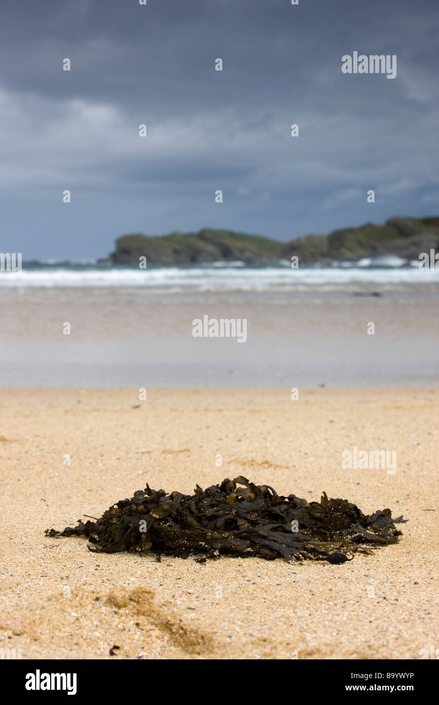 Sandy beach, Scotland Stock Photo - Alamy